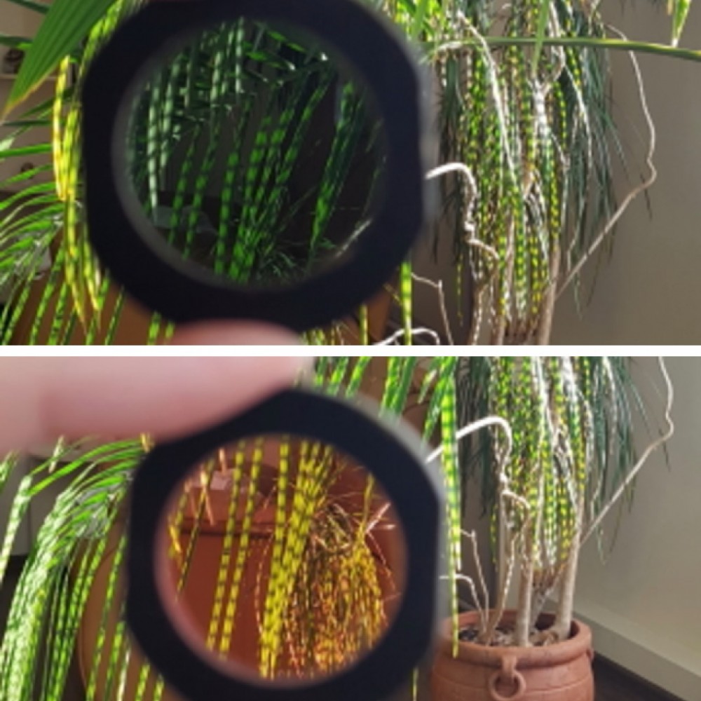 Jollylook Color Polarized Filters